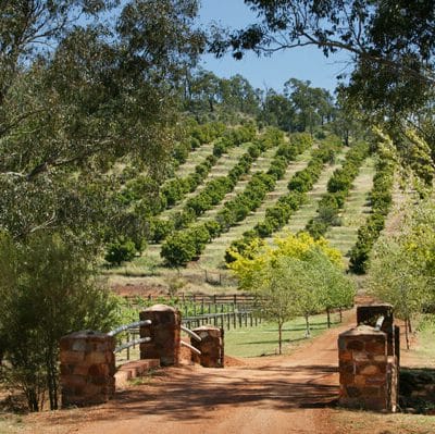 New Norcia & Chittering Valley – Great Western Coach Tours
