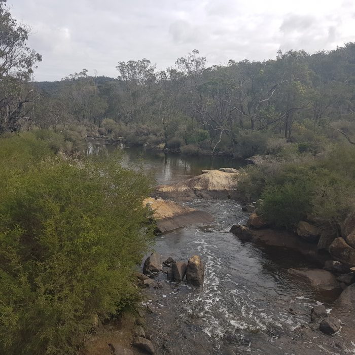 Wellington Dam & Collie Mural Trail – Great Western Coach Tours